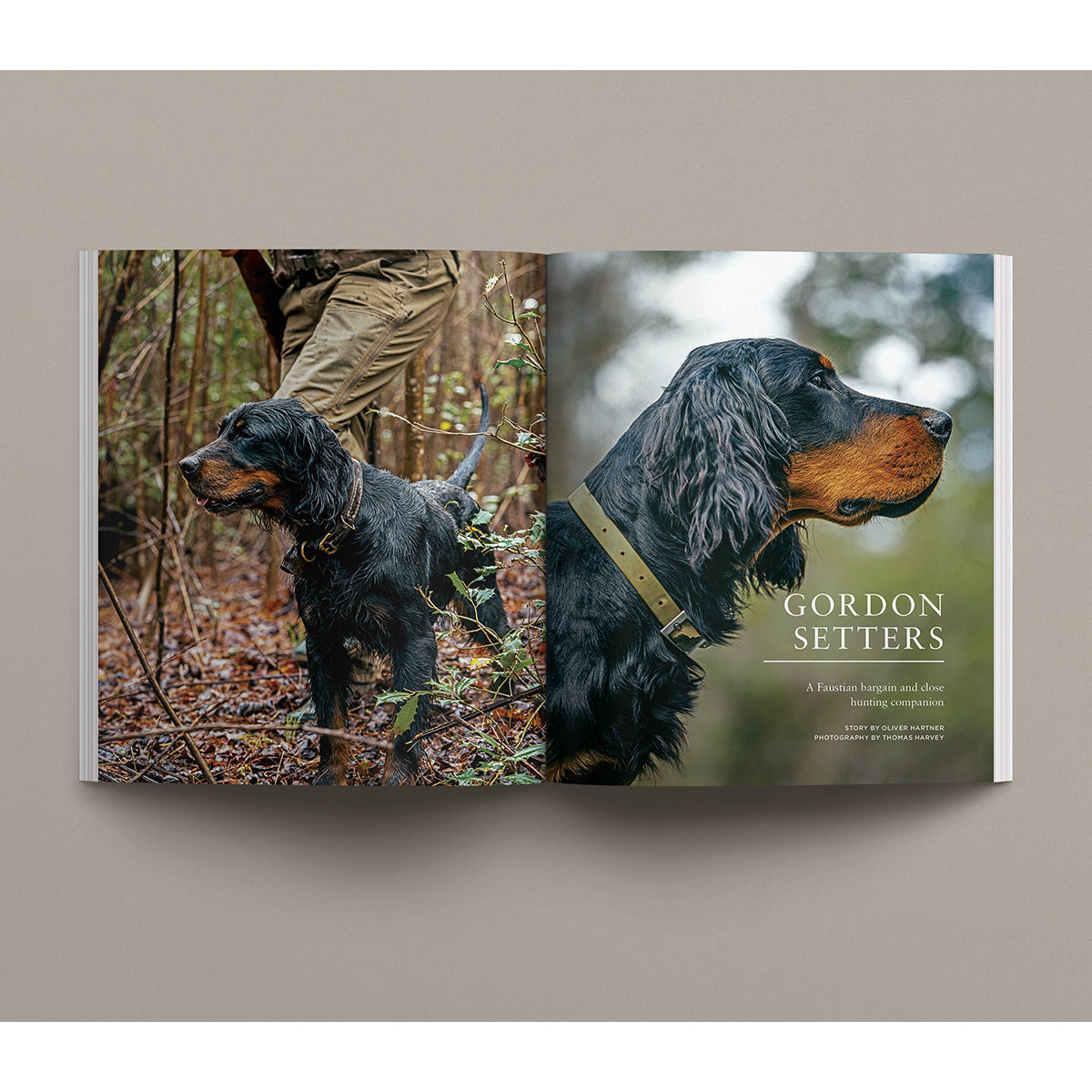 1-Year Covey Rise Gift Subscription 1-Year Covey Rise Gift Subscription