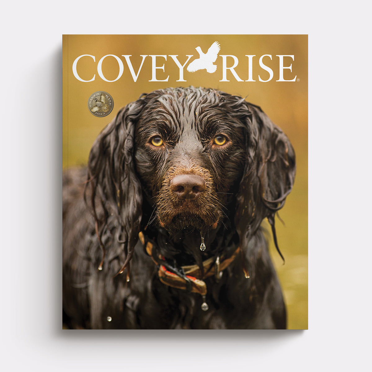 Vol. 1 Num. 2 – Covey Rise