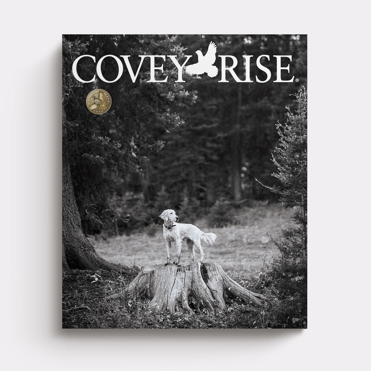 Vol. 7 Num. 4 – Covey Rise